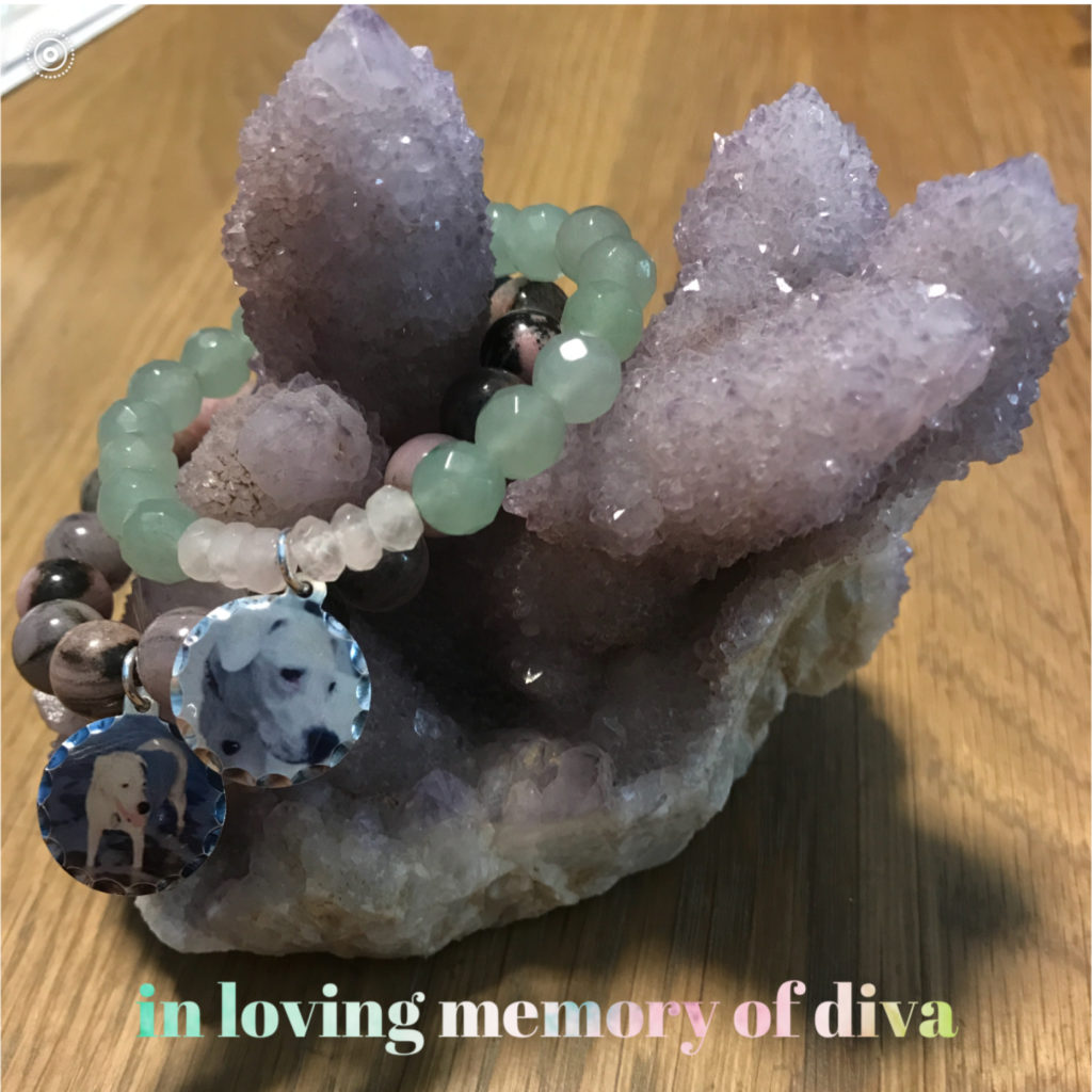 Reality TV Shows | Spotlight | Jackie Beard Robinson